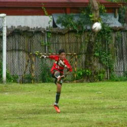 Stream Jan Roumel Veloso music | Listen to songs, albums, playlists for ...