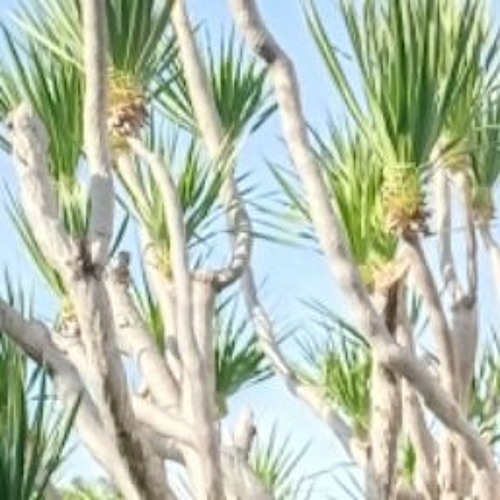 Stream MOBILE LEGENDS BACKGROUND MUSIC 2021 _ 3-HOUR NONSTOP GAMING MIX ...