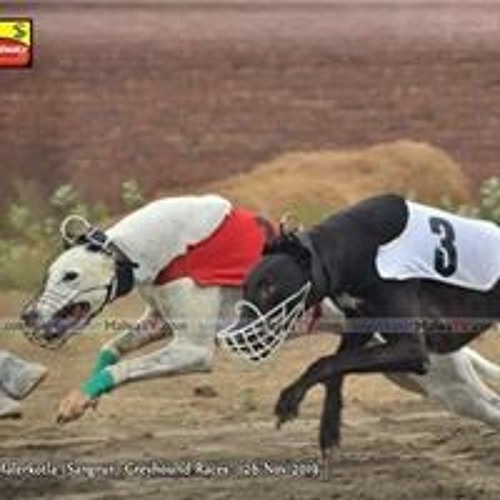 Stream parm music | Listen to songs, albums, playlists for free on ...