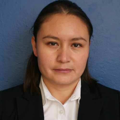 Stream Jessica Itzel Guzmán music | Listen to songs, albums, playlists ...