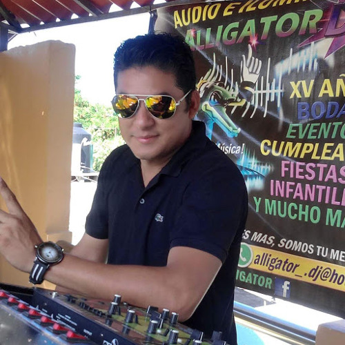 Stream SONIDO ALLIGATOR DJ music | Listen to songs, albums, playlists ...