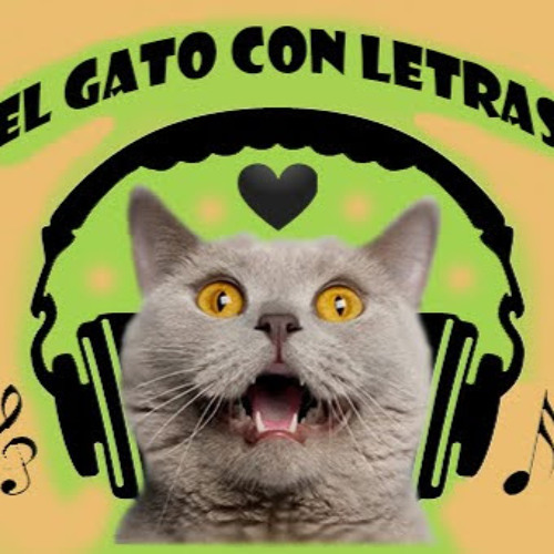 Stream El Gato con Letras music | Listen to songs, albums, playlists ...