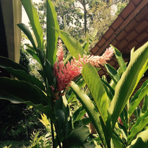 Stream Erin Tallman music | Listen to songs, albums, playlists for free ...