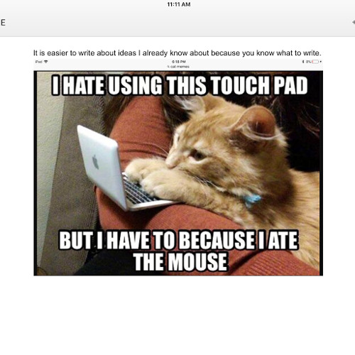 Stream Depression Nap - Cruelty Squad by A sentient Brick | Listen ...