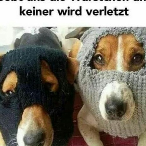 Stream Storm crafter 2.0 music | Listen to songs, albums, playlists for ...