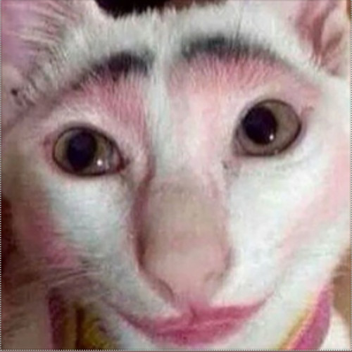 Stream EEEEEEEEEEE music | Listen to songs, albums, playlists for free ...