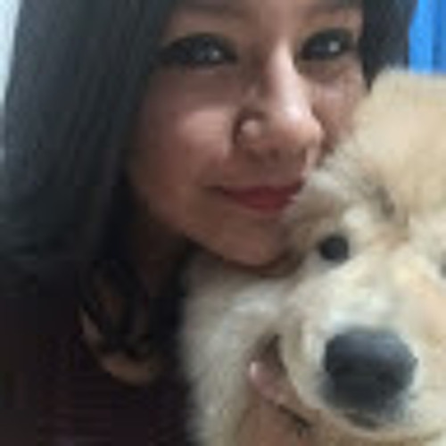 Stream episode estilos de aprendizajes y características-CARRILLO ...