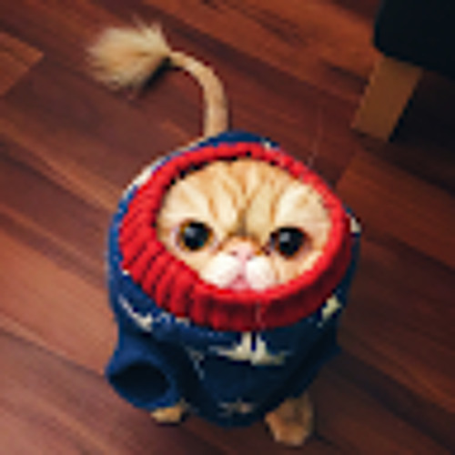 Stream Mavis Xu music | Listen to songs, albums, playlists for free on ...