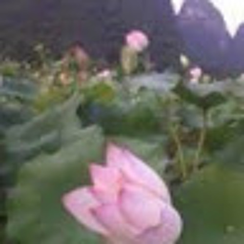 Stream Julia Galan Bermejo music | Listen to songs, albums, playlists ...