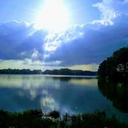Stream Wall Tony Dale music | Listen to songs, albums, playlists for ...
