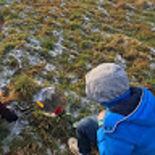 Stream DJip music | Listen to songs, albums, playlists for free on ...