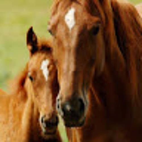 Stream Caroline Clancy music | Listen to songs, albums, playlists for ...