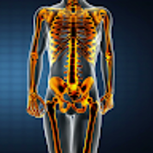 Stream Eagle's view music | Listen to songs, albums, playlists for free ...