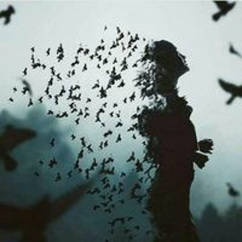 Stream Aziza Hussein music | Listen to songs, albums, playlists for ...