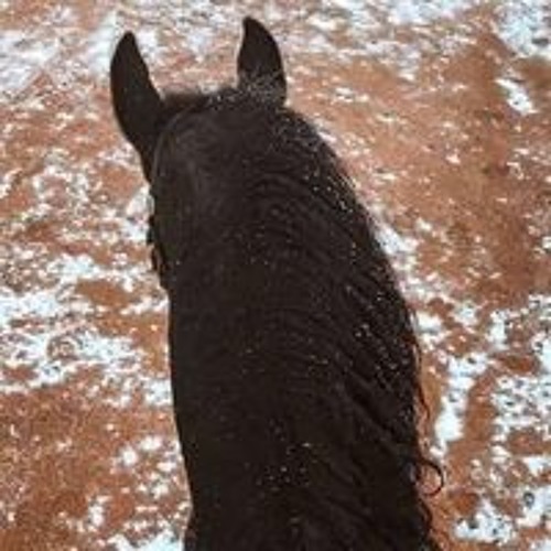 Stream Mona Musa music | Listen to songs, albums, playlists for free on ...