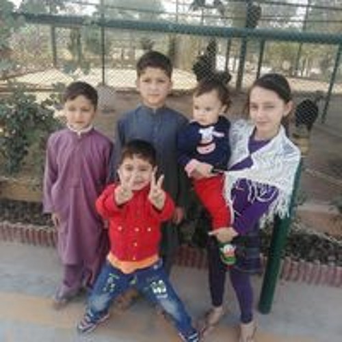 Stream Noor Muhammad music | Listen to songs, albums, playlists for ...