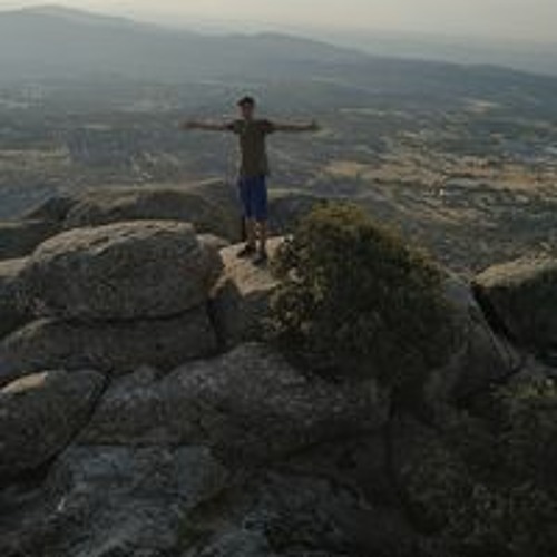 Stream Ion Bostan music | Listen to songs, albums, playlists for free ...