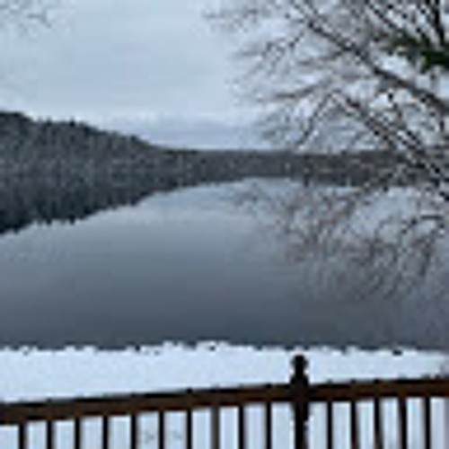 Stream Evan Foran music | Listen to songs, albums, playlists for free ...