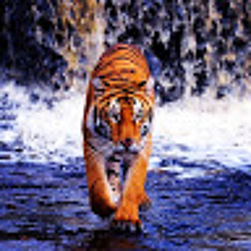 Stream Karim Zech music | Listen to songs, albums, playlists for free ...