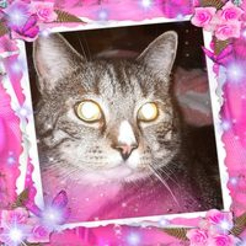 Stream Constance Christine Hahn music | Listen to songs, albums ...