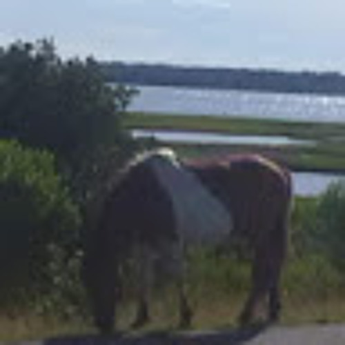 Stream Landyn Cramer music | Listen to songs, albums, playlists for ...