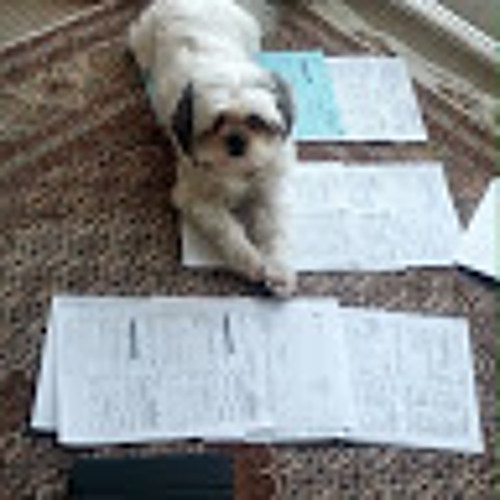 Stream Samaneh Moafi music | Listen to songs, albums, playlists for ...