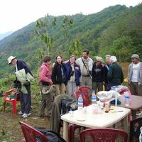 Stream Nima Lhamo-Rinchen music | Listen to songs, albums, playlists ...