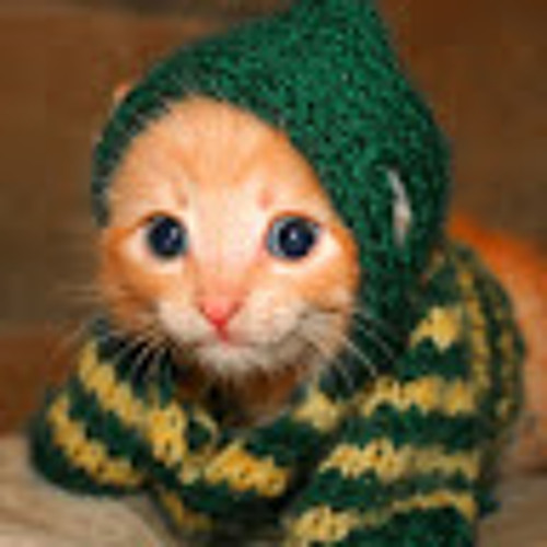 Stream Kitz Katz music | Listen to songs, albums, playlists for free on ...