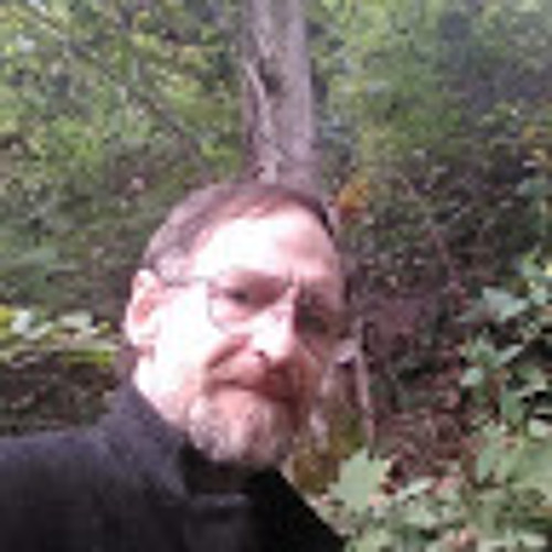 Stream Steve Collett music | Listen to songs, albums, playlists for ...