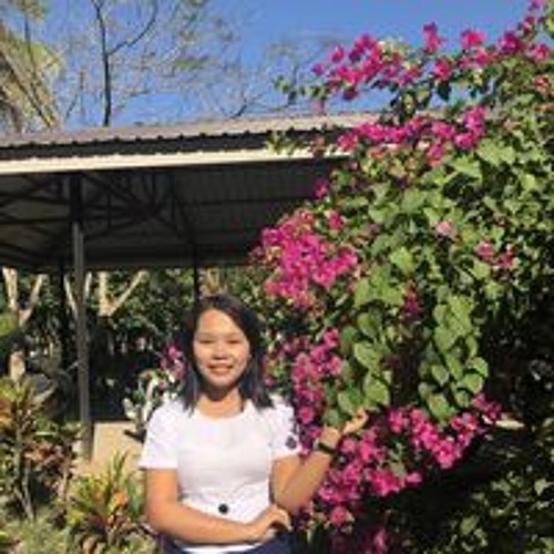 Stream May Thu Zar Myint music | Listen to songs, albums, playlists for ...