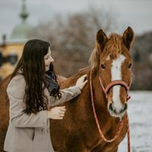 Stream Transformation Von Kummer Zur Herzensenergie By Nicole Listen Online For Free On Soundcloud