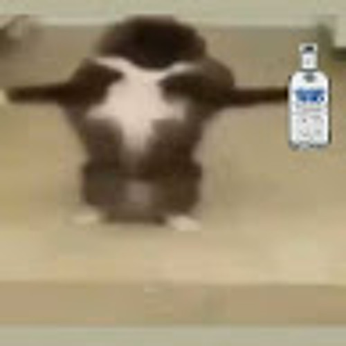 Stream Vodcat music | Listen to songs, albums, playlists for free on ...