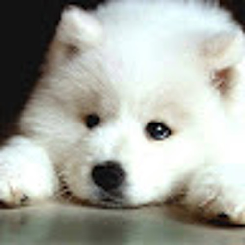 Stream "EMERGENCY MEETING" Among Us Minecraft Music Video | 3A Display ...