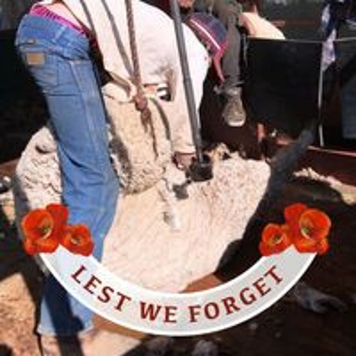 Stream Tom Staker music | Listen to songs, albums, playlists for free ...