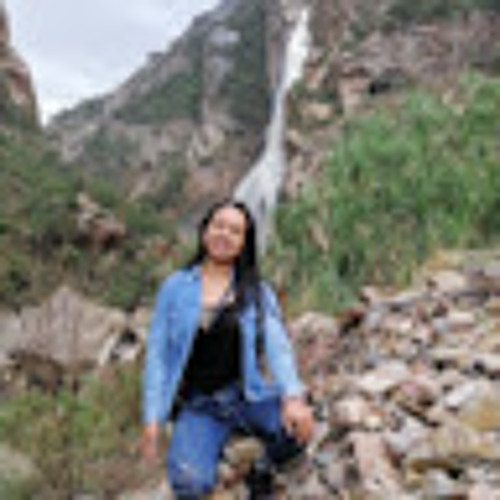 Stream ABANTO VERA LESLY LEONELA music | Listen to songs, albums ...