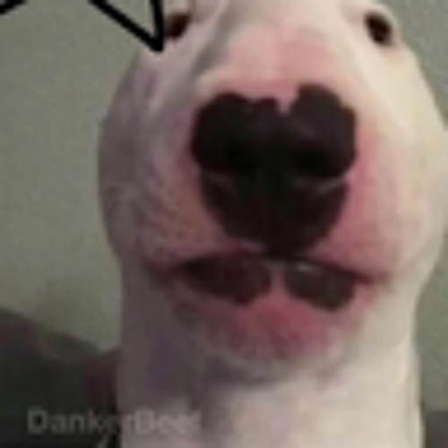 Stream XOLY X PINKBLXXD - GREED EXCLUSIVE by stunna boygetem | Listen ...