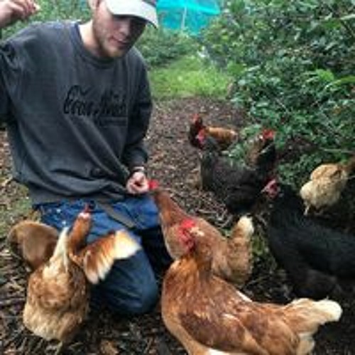 Stream Will Prophett music | Listen to songs, albums, playlists for ...