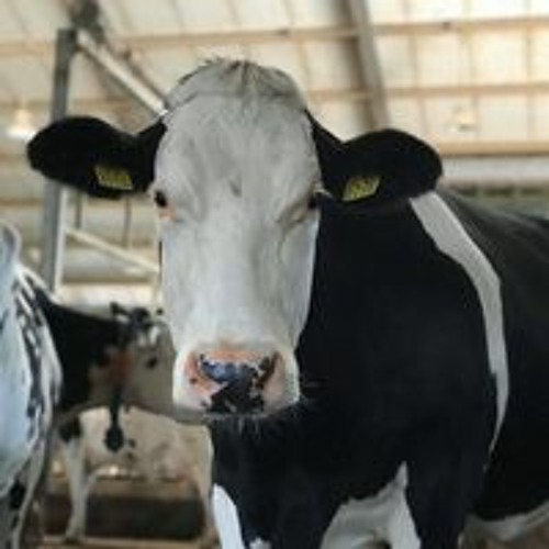 Stream Thomas De Graaf music | Listen to songs, albums, playlists for free on SoundCloud