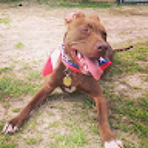 Stream episode Top-Ten Episode 1: Sodas by The Creek Flow Podcasts ...