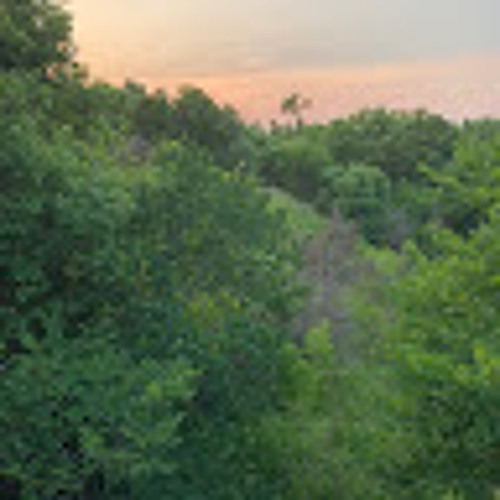 Stream Ben Plemons music | Listen to songs, albums, playlists for free ...