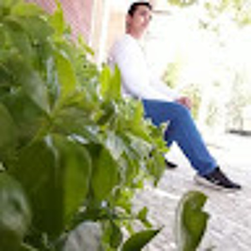 Stream Nima Falah music | Listen to songs, albums, playlists for free ...