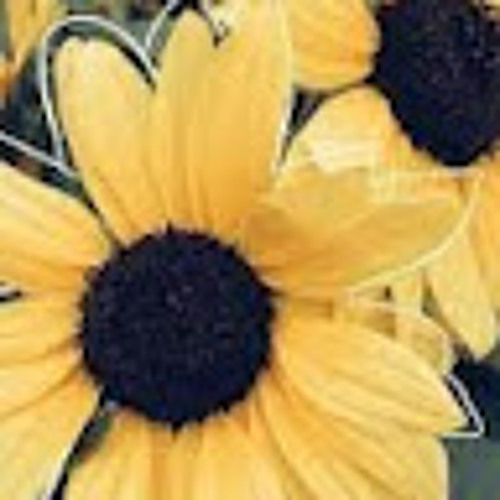 Stream Cara Kilpatrick music | Listen to songs, albums, playlists for ...