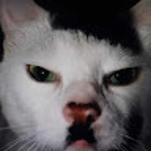 Stream bictor!!!!!! music | Listen to songs, albums, playlists for free ...