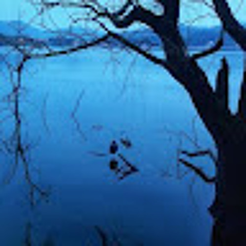 Stream Virginia music | Listen to songs, albums, playlists for free on ...