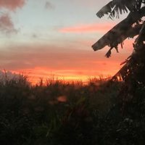 Stream hello boss music | Listen to songs, albums, playlists for free ...