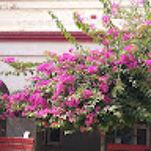 Stream Ghvi hy music | Listen to songs, albums, playlists for free on ...