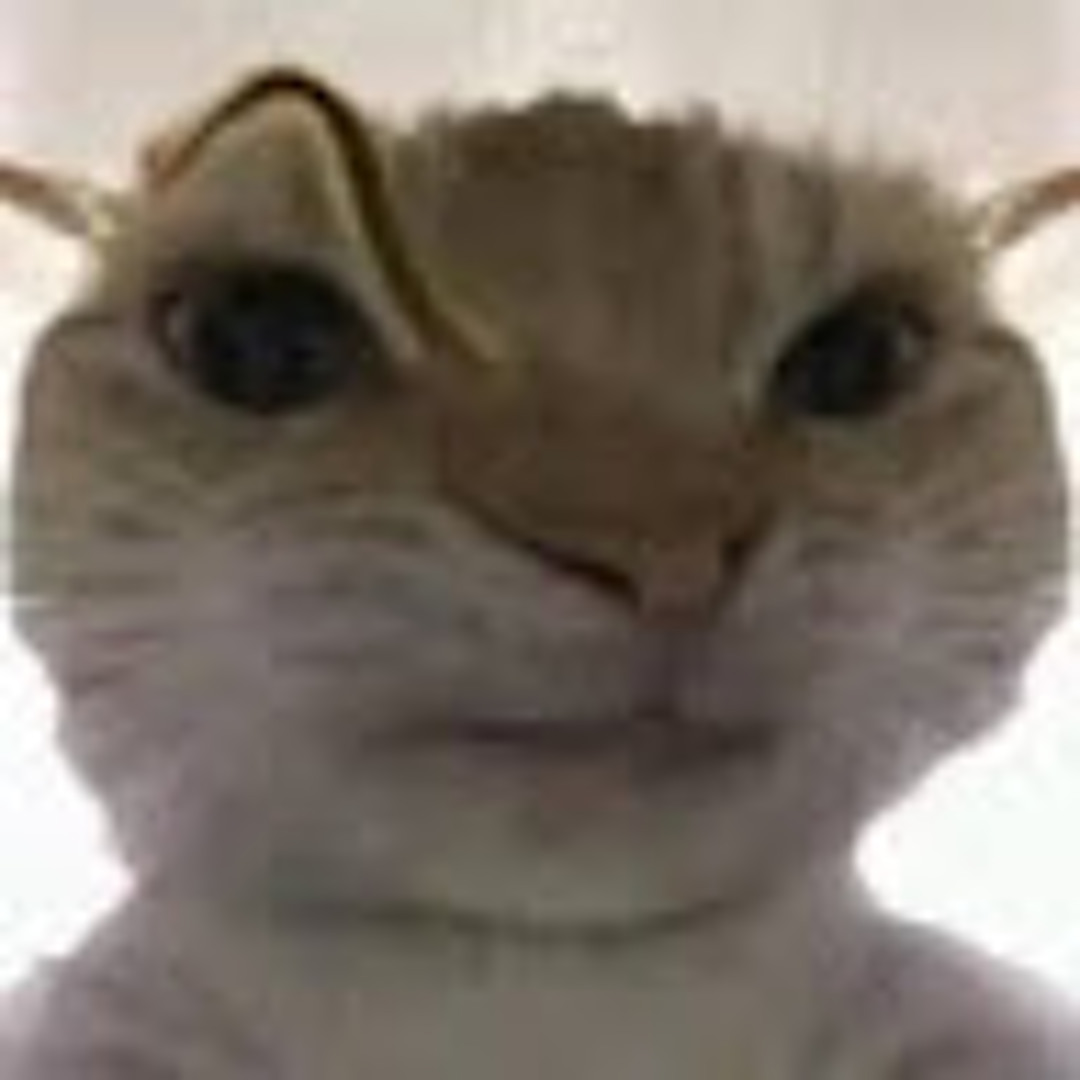 Stream MEWING GOD by Binh Thai | Listen online for free on SoundCloud