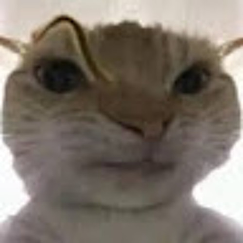 Stream MEWING GOD by Binh Thai | Listen online for free on SoundCloud