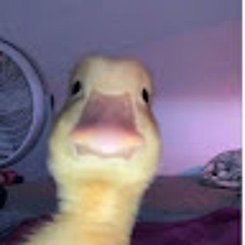 Stream Mahrul Mugen music | Listen to songs, albums, playlists for free ...