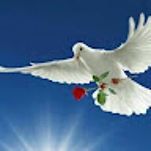Stream Paladin JESUS music | Listen to songs, albums, playlists for ...